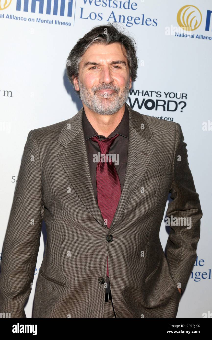 LOS ANGELES - MAY 12: Travis Van Winkle at the NAMI WLA 2023 Mental ...