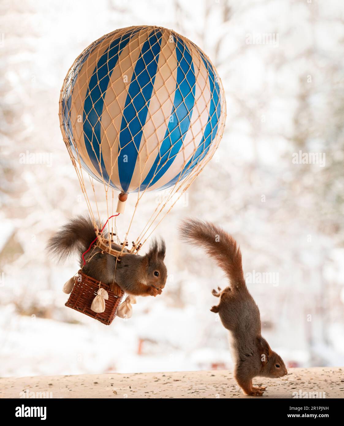 Standing balloon hi-res stock photography and images - Alamy