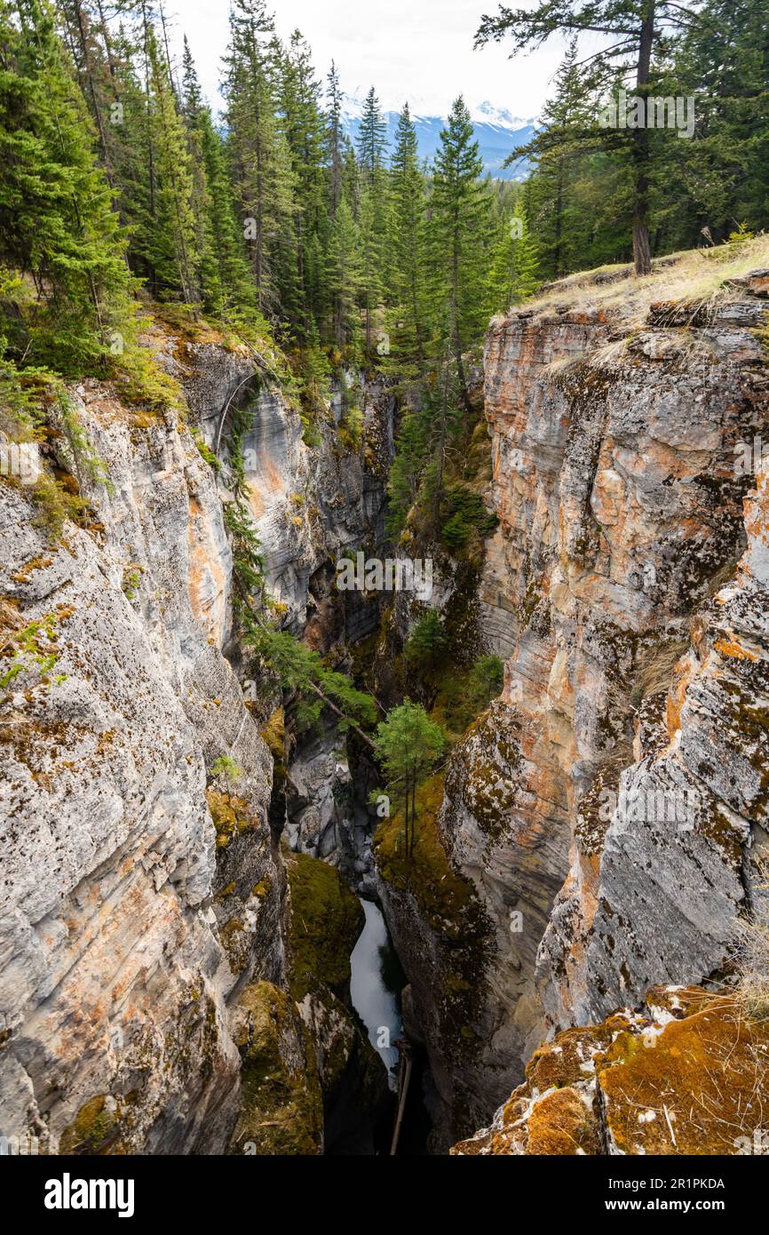 Maligne Canyon in summer. Jasper National Park, Alberta, Canada Stock ...