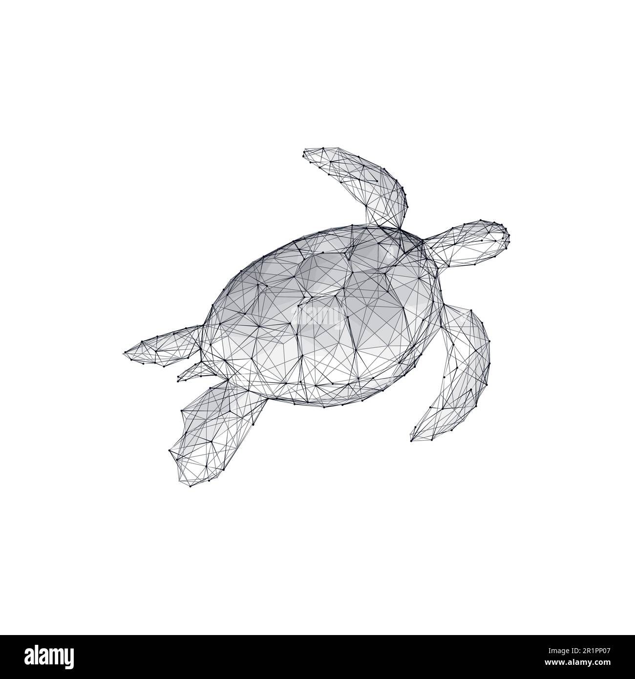 Sea Turtle in wireframe isolated on white background. Marine life Stock ...