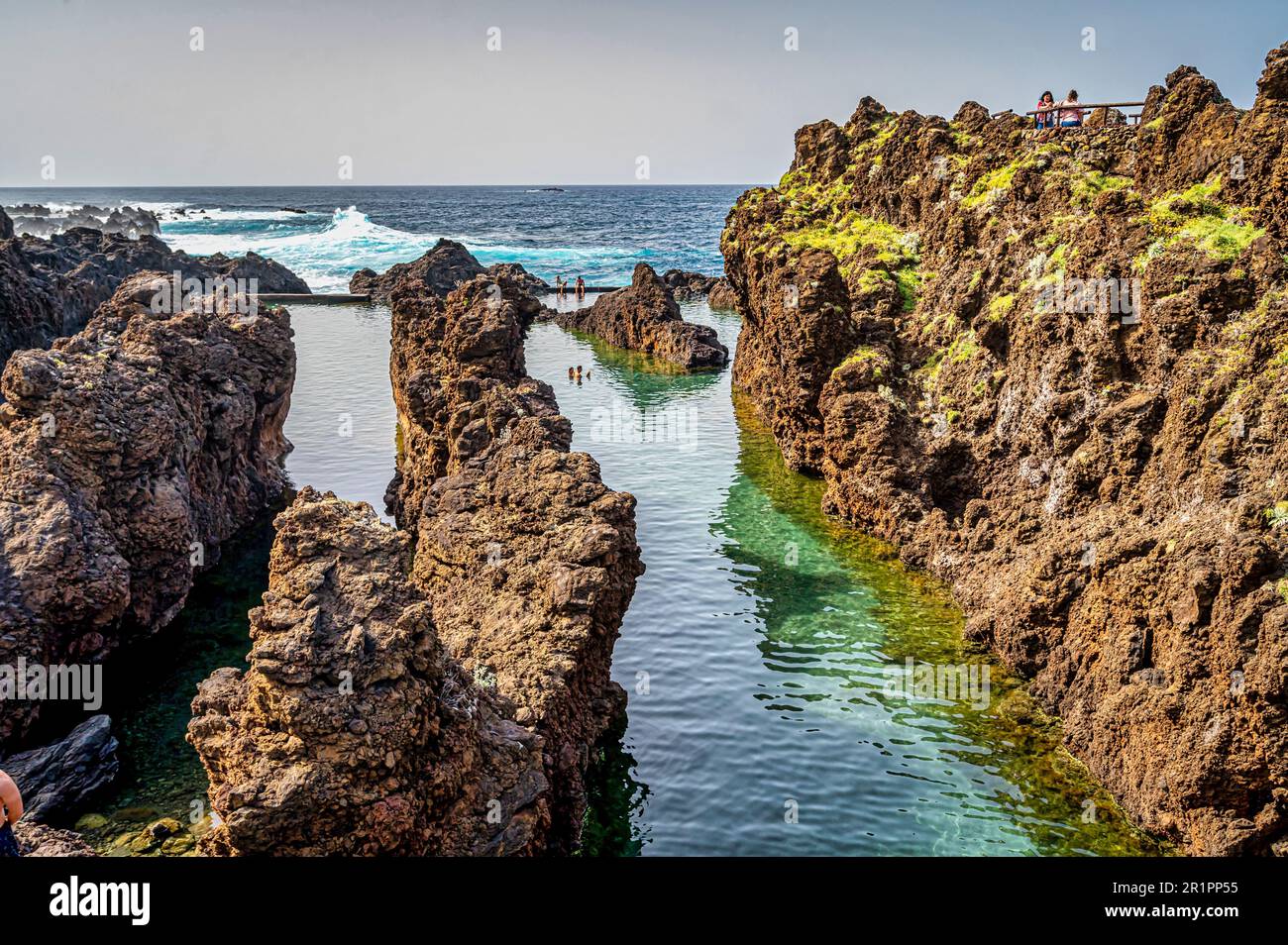 Blue green algae in body hi-res stock photography and images - Alamy