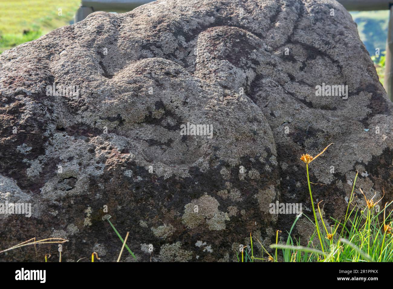 Chile, Easter Island aka Rapa Nui. Birdman petrogllyph carved into ...