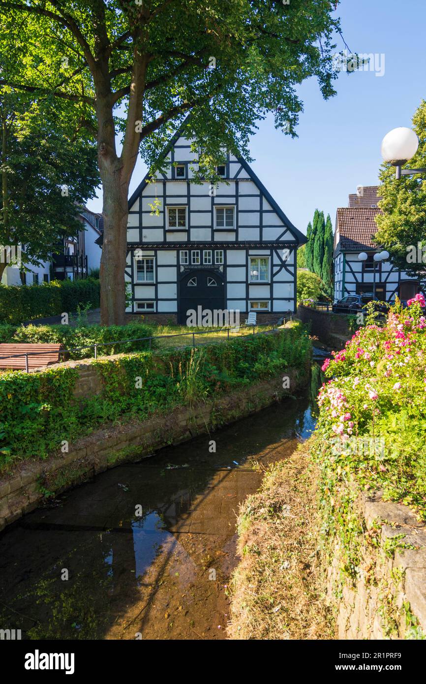 Bach herdecker bach hi-res stock photography and images - Alamy