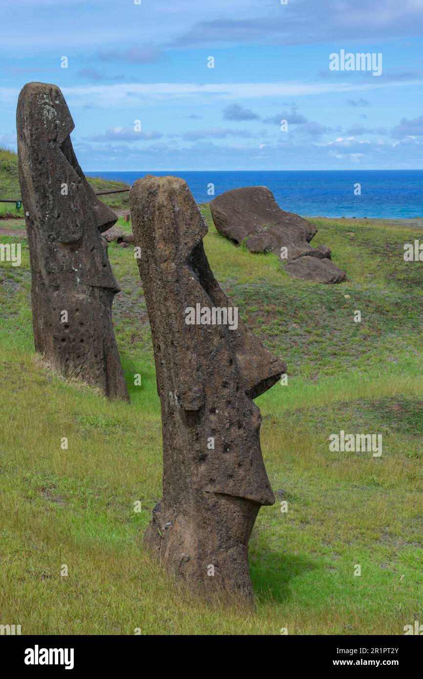 Chile, Easter Island aka Rapa Nui. Traditional stone moai at Rano a ...