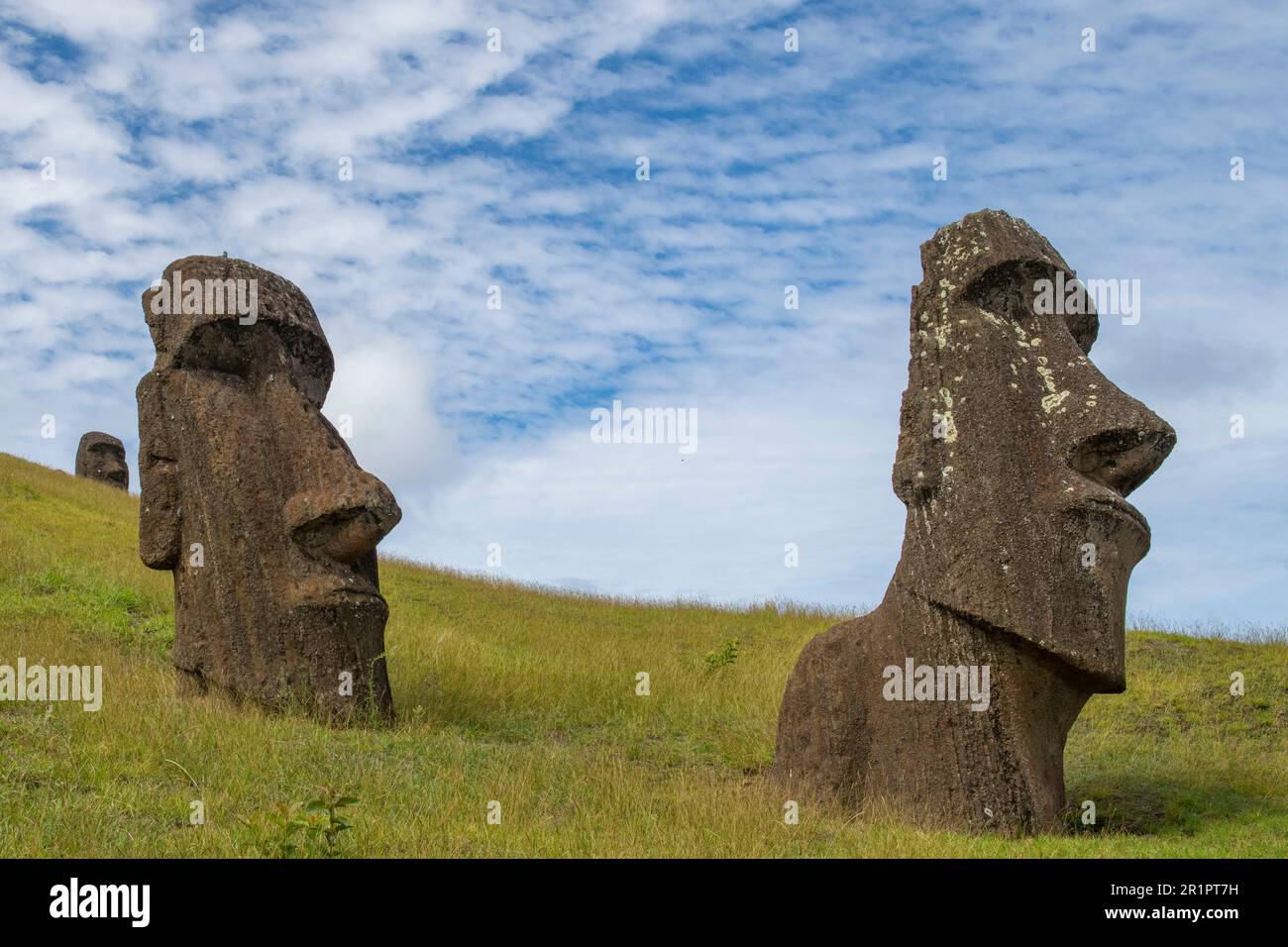 Chile, Easter Island aka Rapa Nui. Traditional stone moai at Rano a ...