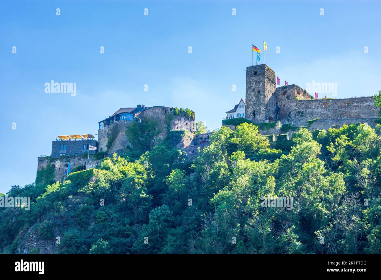 Rheinfels castle in rheintal hi-res stock photography and images - Alamy