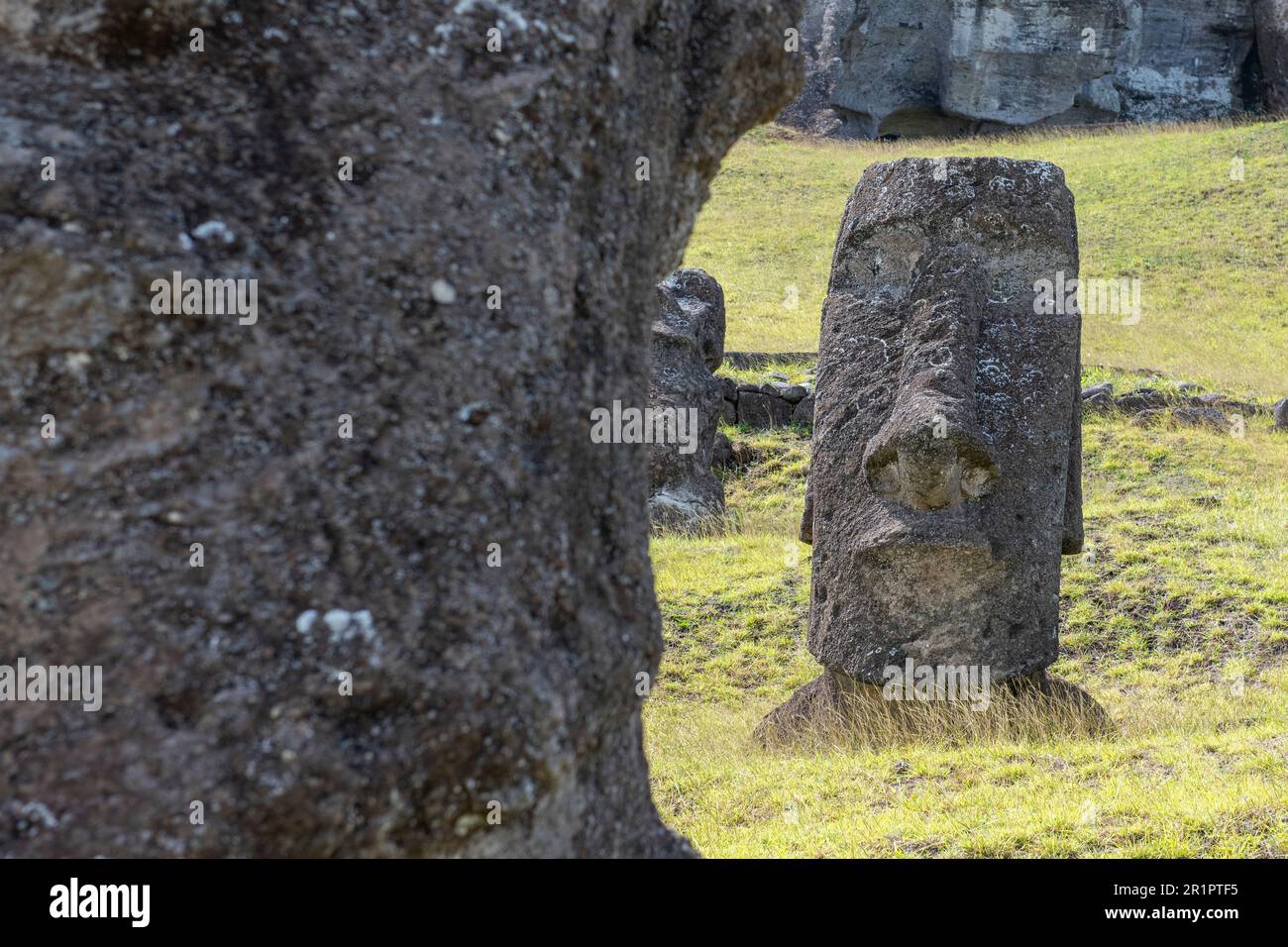 Chile, Easter Island aka Rapa Nui. Traditional stone moai at Rano a ...