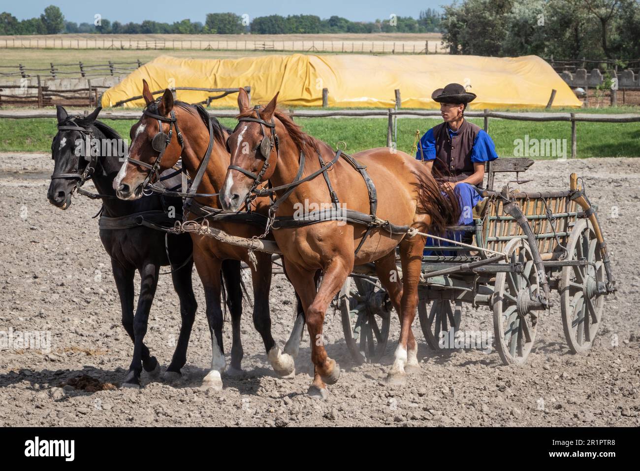 The Puszta ranch near Kolacsa. Magyar cowboys perform their horse ...