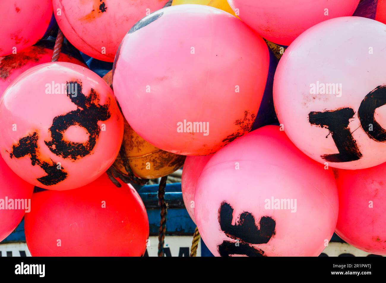 Close up plastic buoys float hi-res stock photography and images - Alamy
