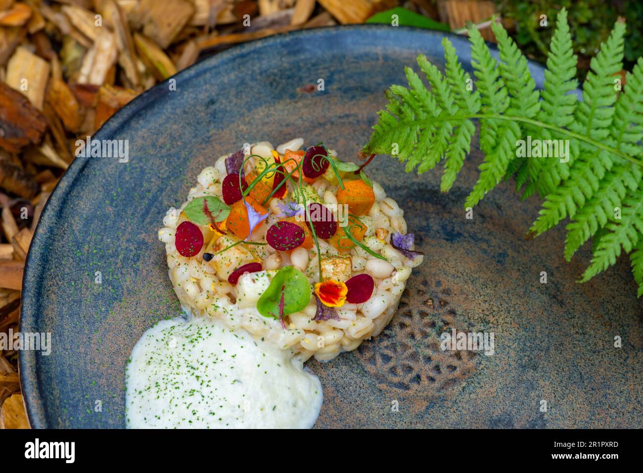 Italy, Trentino-South Tyrol, Alto Adige - South Tyrol, vegan cuisine ...