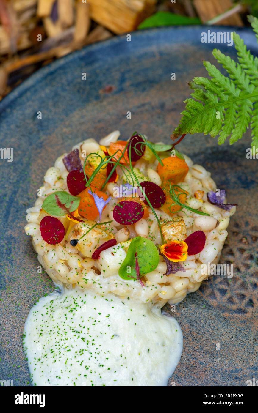 Italy, Trentino-South Tyrol, Alto Adige - South Tyrol, vegan cuisine ...