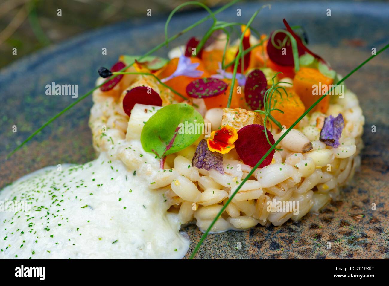 Italy, Trentino-South Tyrol, Alto Adige - South Tyrol, vegan cuisine ...