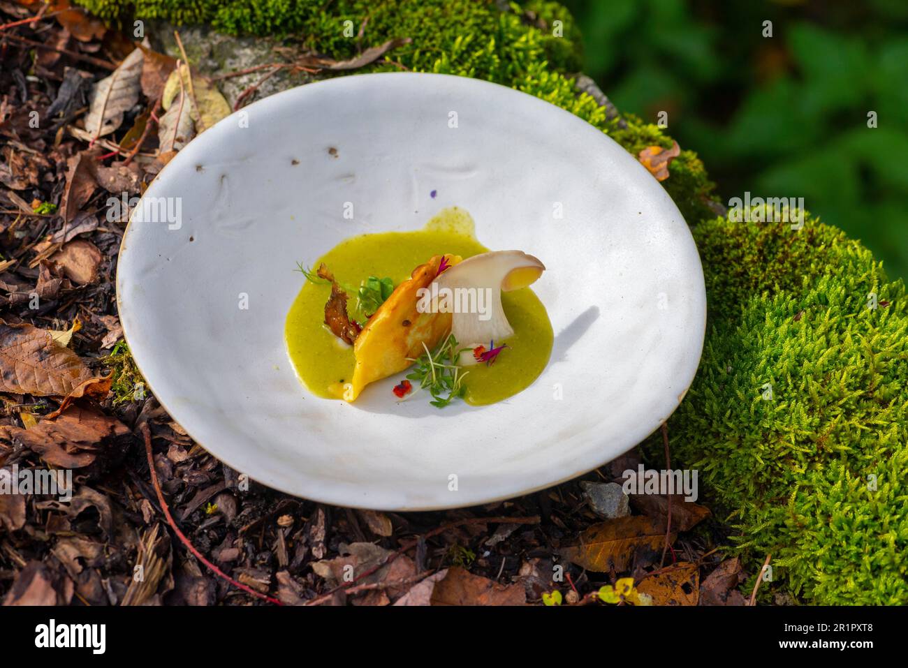 Italy, Trentino Alto Adige, Alto Adige - South Tyrol, vegan cuisine ...