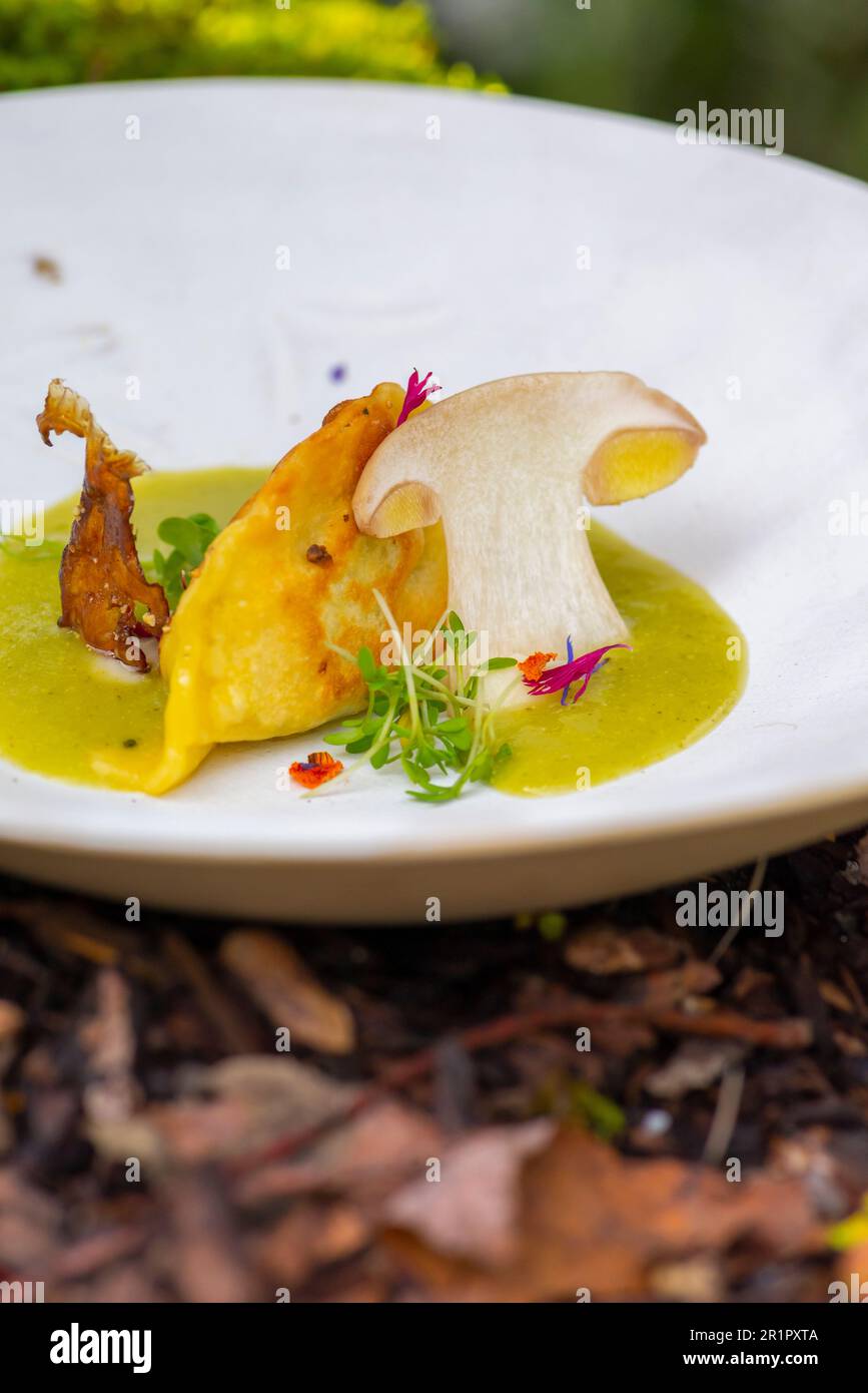 Italy, Trentino Alto Adige, Alto Adige - South Tyrol, vegan cuisine ...