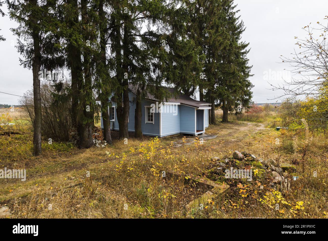 Small cozy blue house in the forest under tree Stock Photo - Alamy