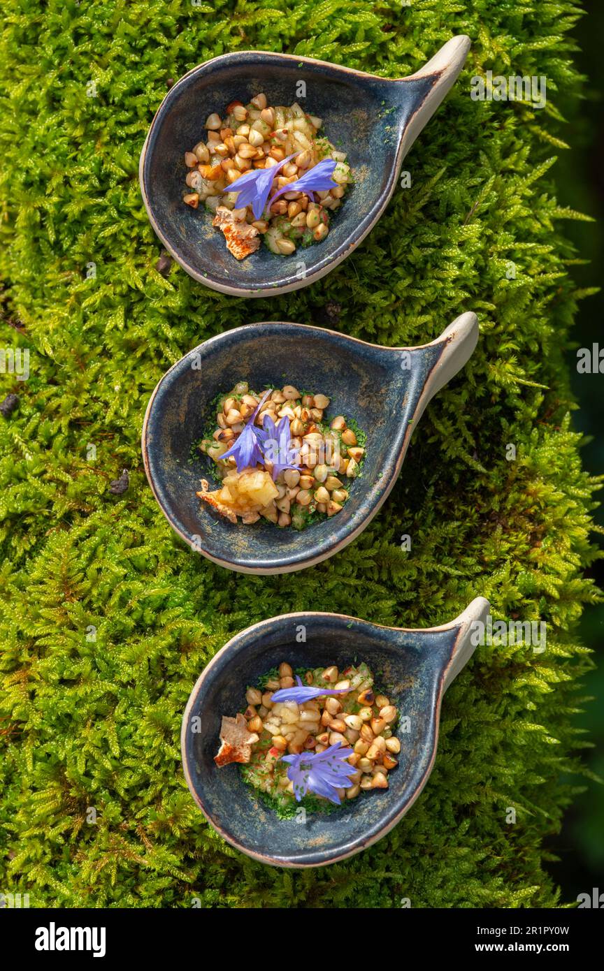 Italy, Trentino Alto Adige, Alto Adige - South Tyrol, vegan cuisine ...