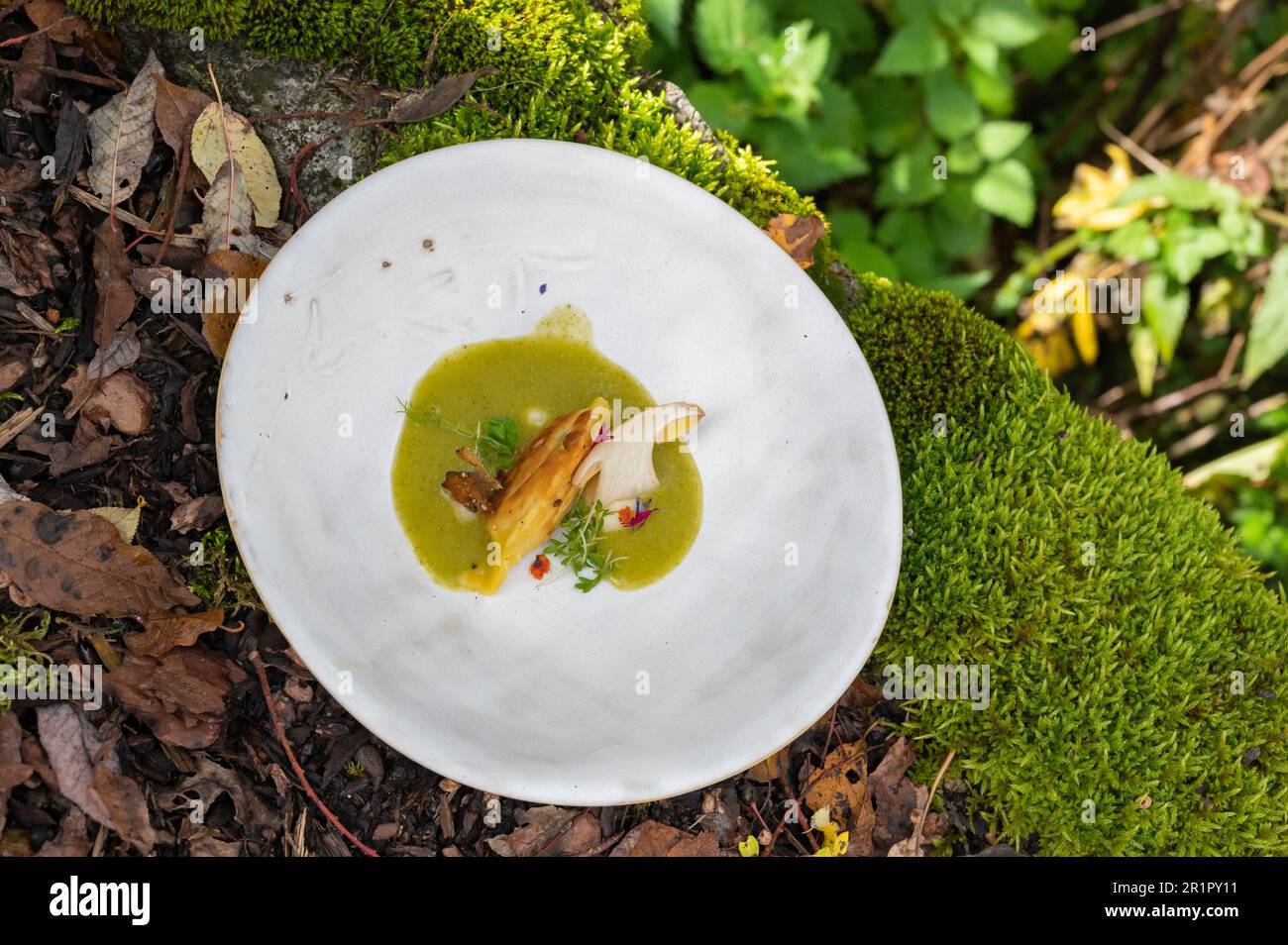 Italy, Trentino Alto Adige, Alto Adige - South Tyrol, vegan cuisine ...