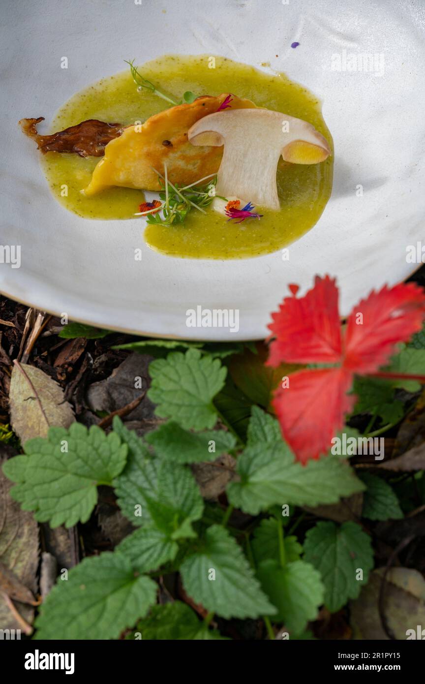 Italy, Trentino Alto Adige, Alto Adige - South Tyrol, vegan cuisine ...