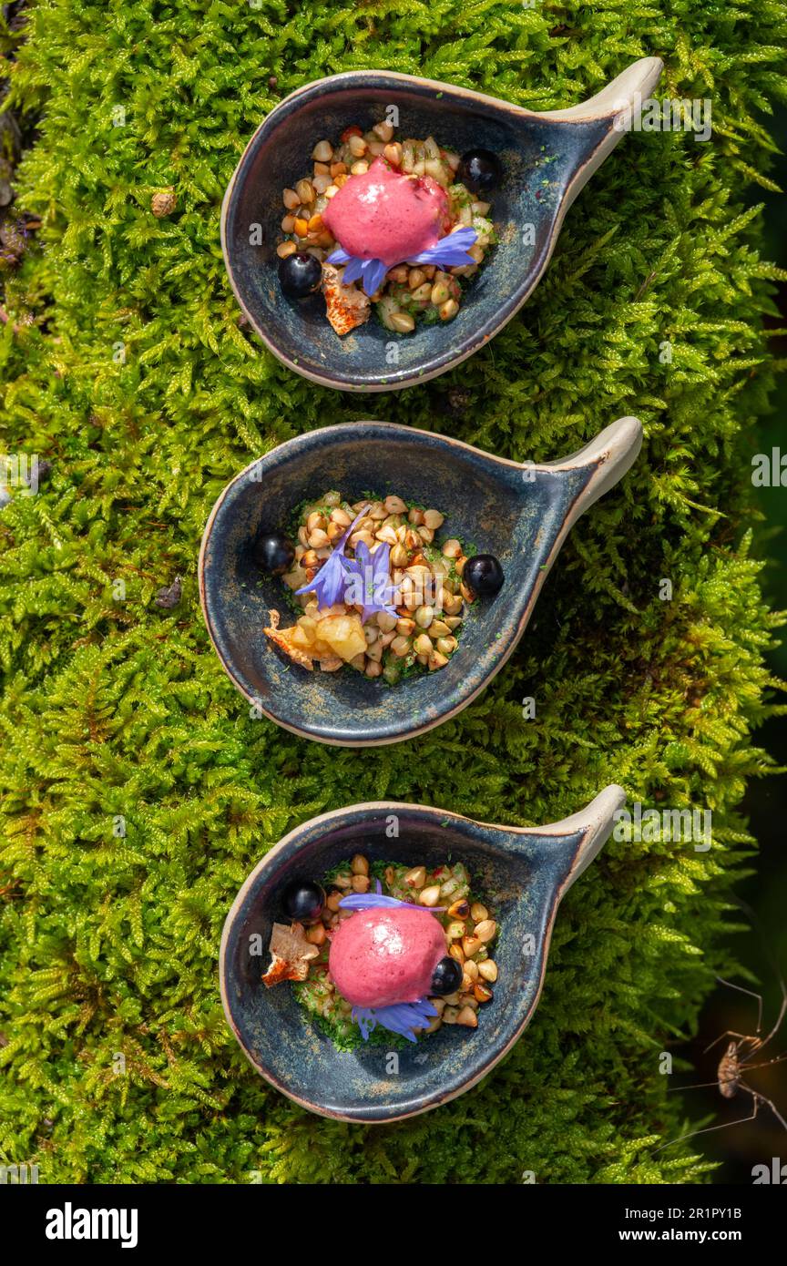 Italy, Trentino Alto Adige, Alto Adige - South Tyrol, vegan cuisine ...