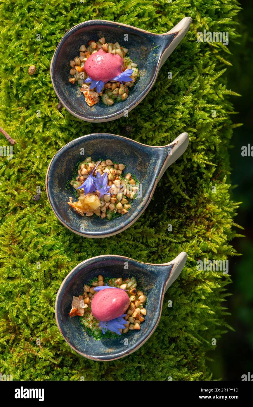 Italy, Trentino Alto Adige, Alto Adige - South Tyrol, vegan cuisine ...