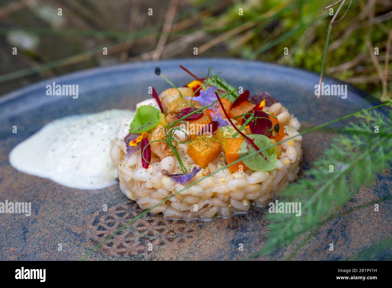 Italy, Trentino-South Tyrol, Alto Adige - South Tyrol, vegan cuisine ...