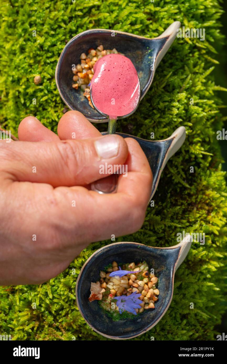 Italy, Trentino Alto Adige, Alto Adige - South Tyrol, vegan cuisine ...
