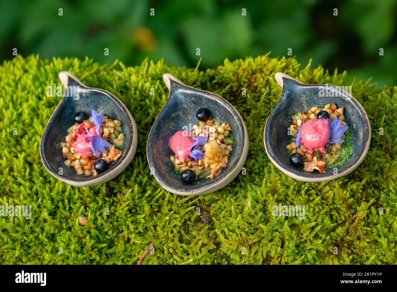 Italy, Trentino Alto Adige, Alto Adige - South Tyrol, vegan cuisine ...