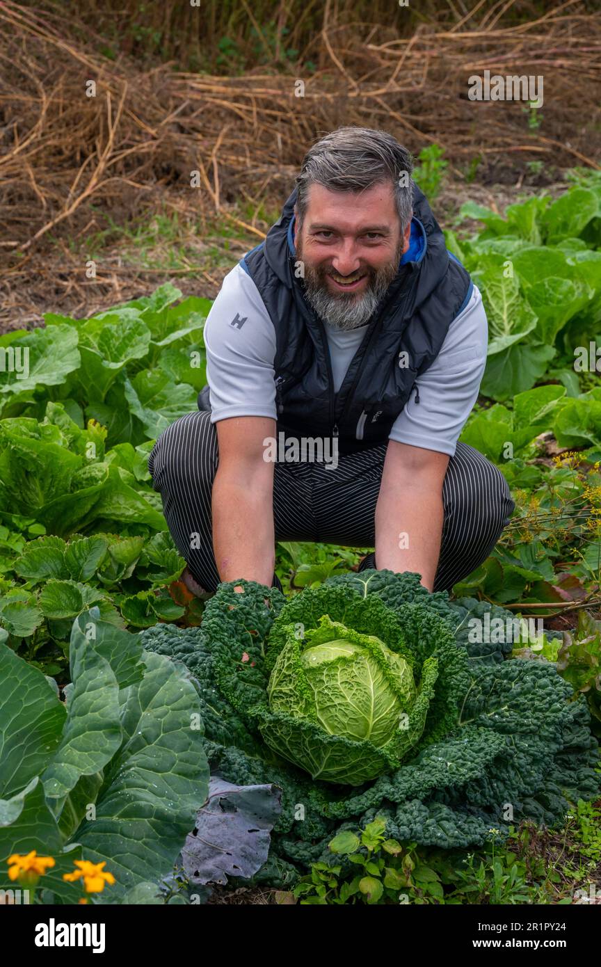 Vegetable farm egidius agidius hi-res stock photography and images - Alamy