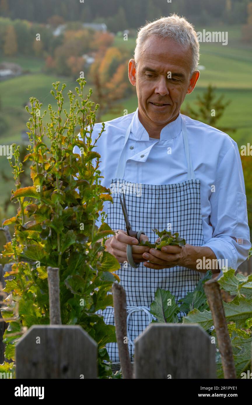 Italy, Trentino-Alto Adige, Alto Adige - South Tyrol, vegan cuisine ...