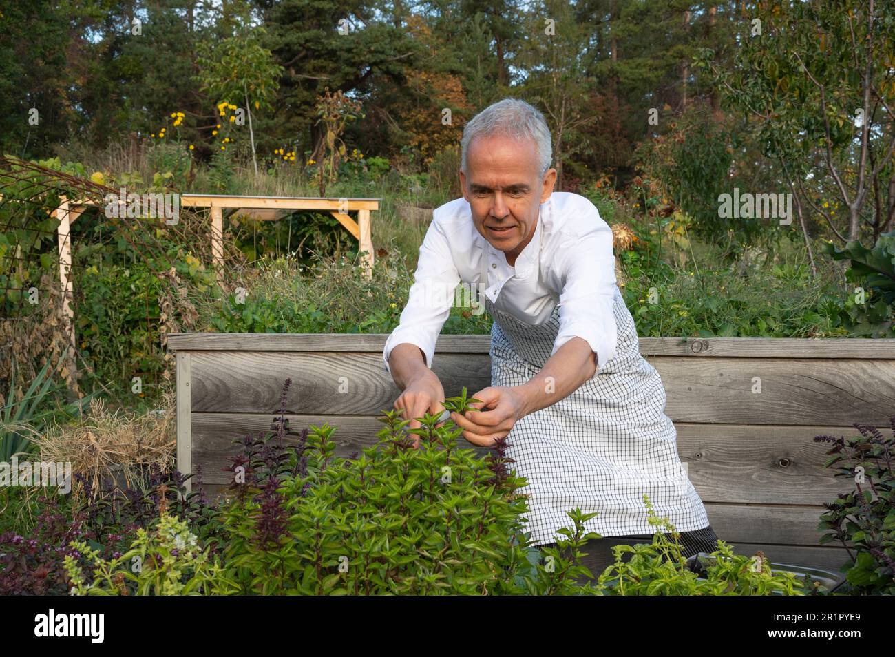 Italy, Trentino-Alto Adige, Alto Adige - South Tyrol, vegan cuisine ...