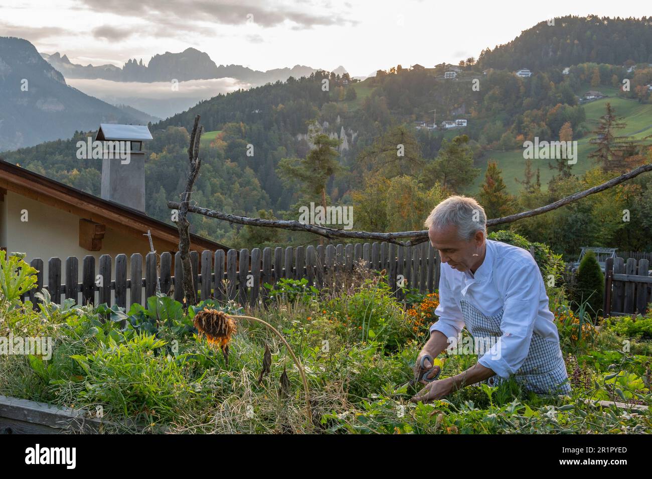 Italy, Trentino-Alto Adige, Alto Adige - South Tyrol, vegan cuisine ...