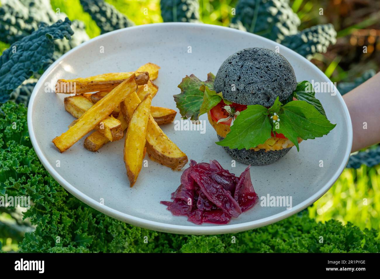 Steineggerhof hi-res stock photography and images - Alamy