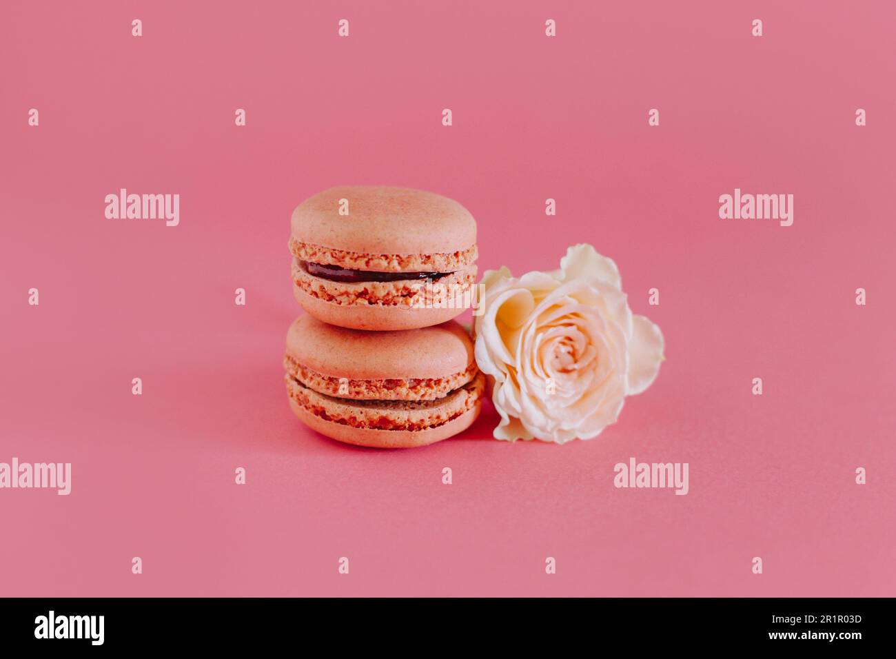 Tasty french macarons with tender rose flowers on a bright pink ...