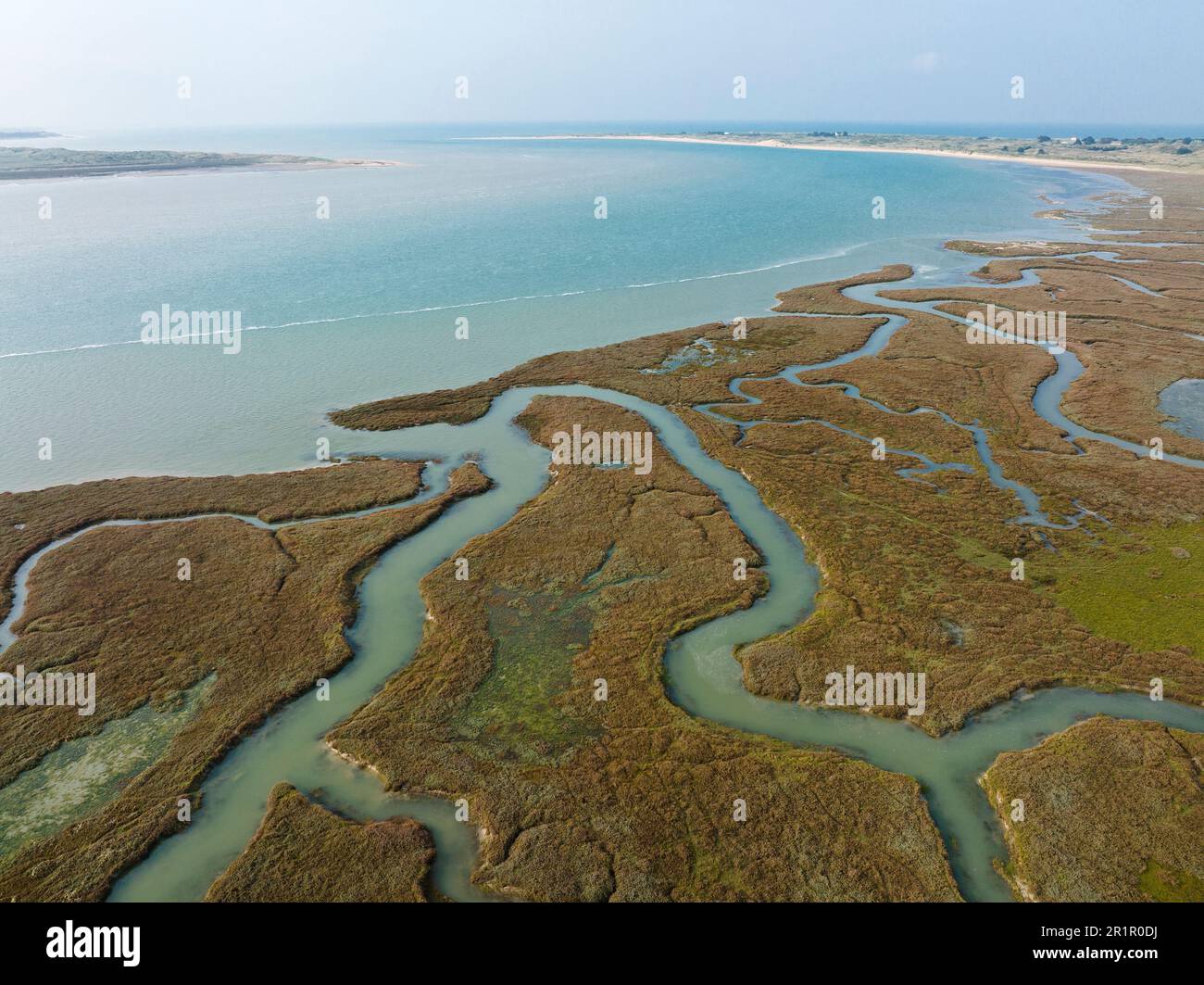 Salt marshes in Havre de St Germain sur Ay bay at high tide, spring ...