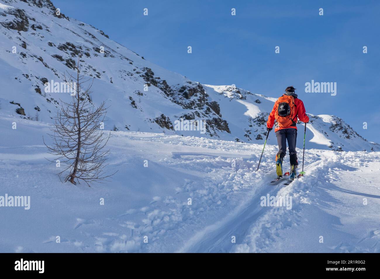 Austria, East Tyrol, Villgraten valley, ski mountaineer on the way to ...