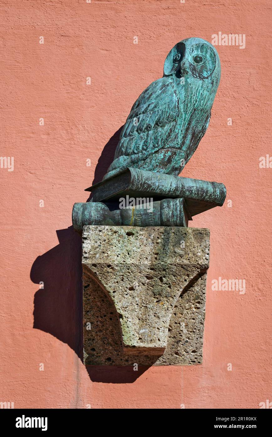 Town owl hi-res stock photography and images - Alamy