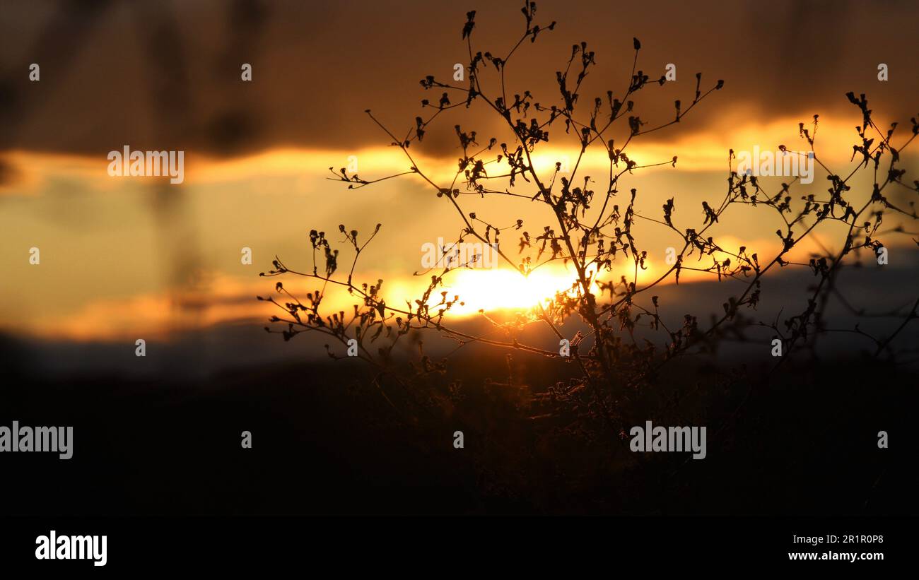 Agriculture focused hi-res stock photography and images - Alamy