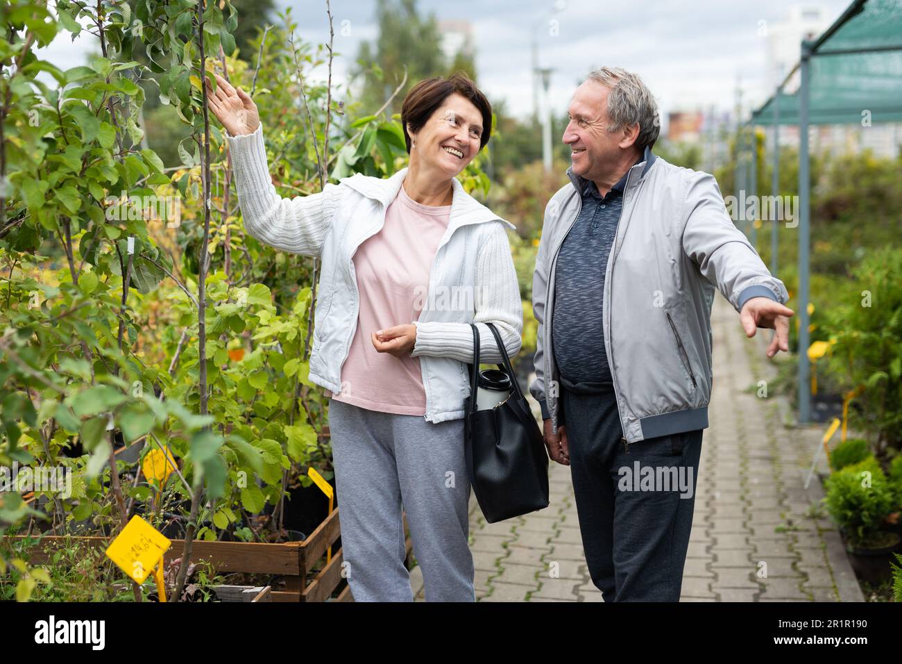 Aged man and woman customers buying tree seedling in open-air market ...