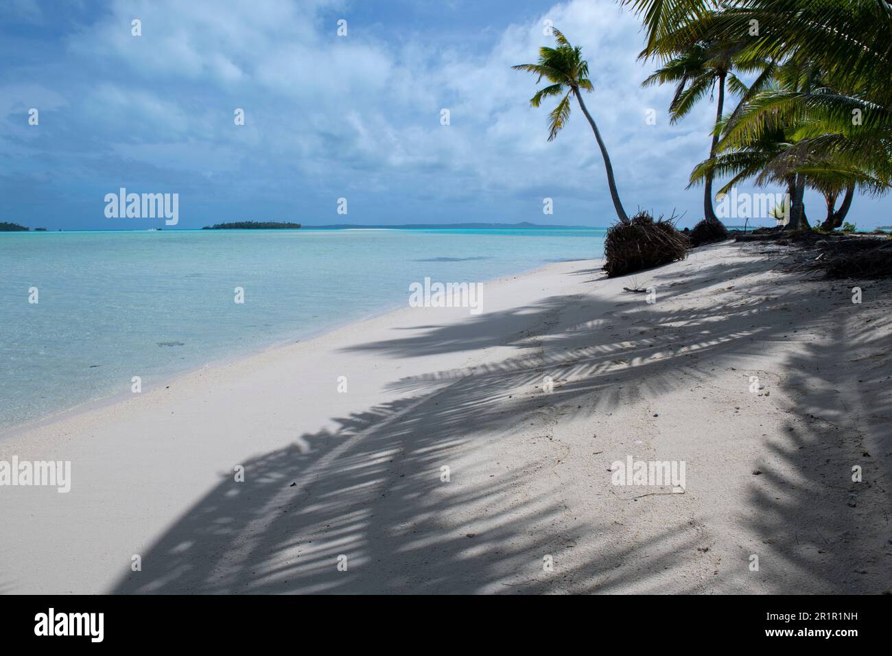 New Zealand, Cook Islands, Aitutaki, One Foot Island. Palm tree shadow ...