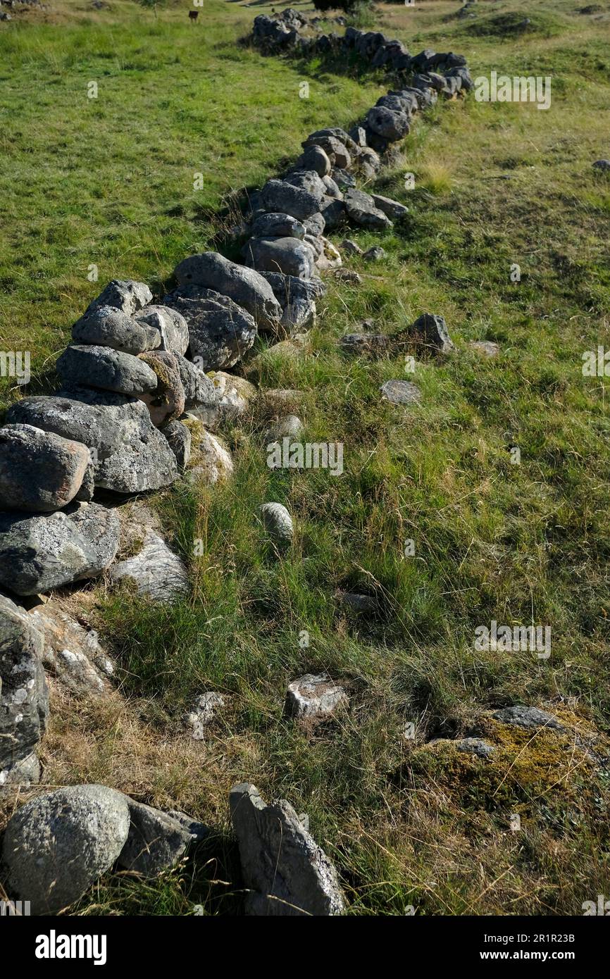 Pilane sweden hi-res stock photography and images - Alamy