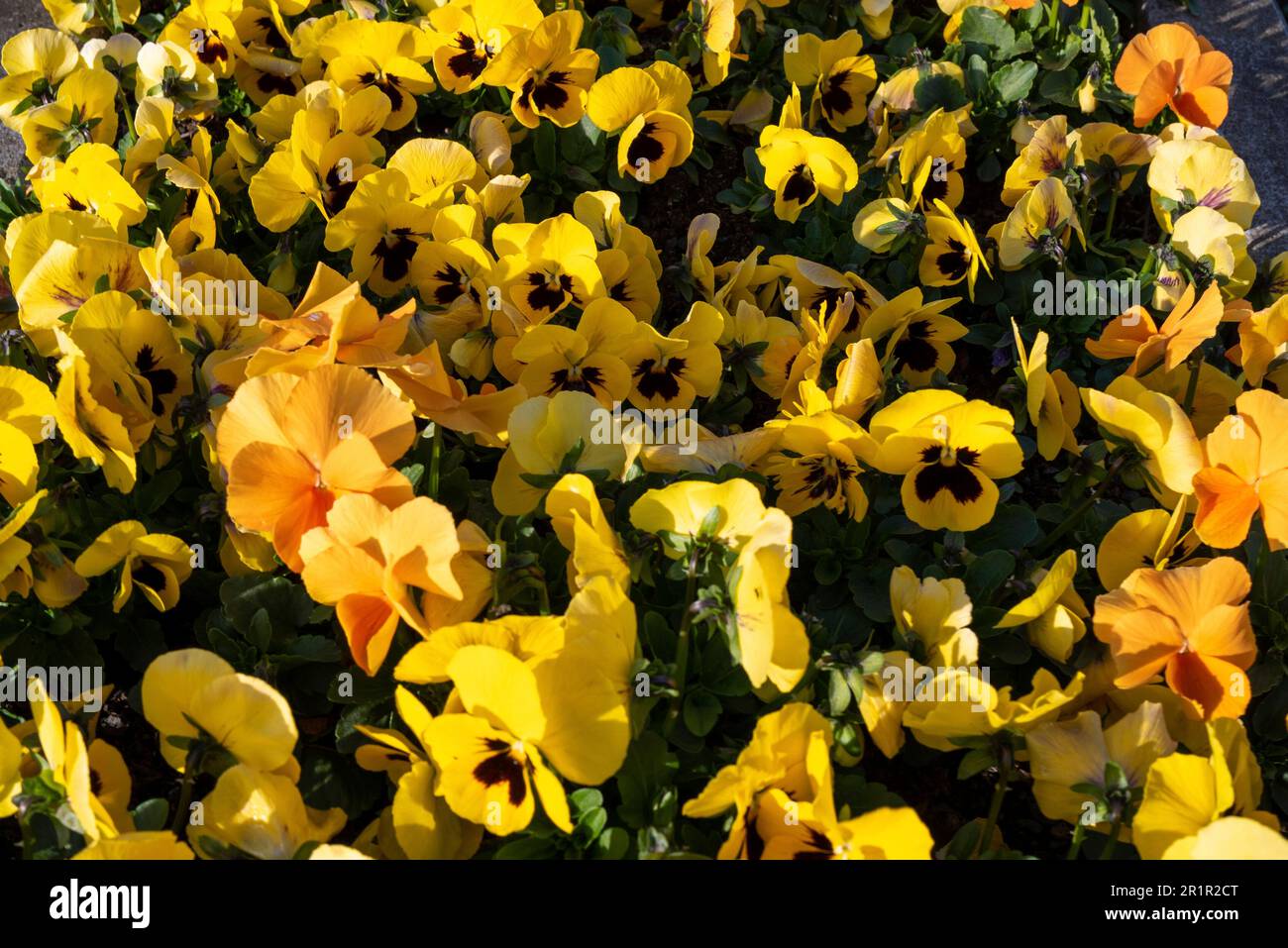 Spring april hi-res stock photography and images - Alamy