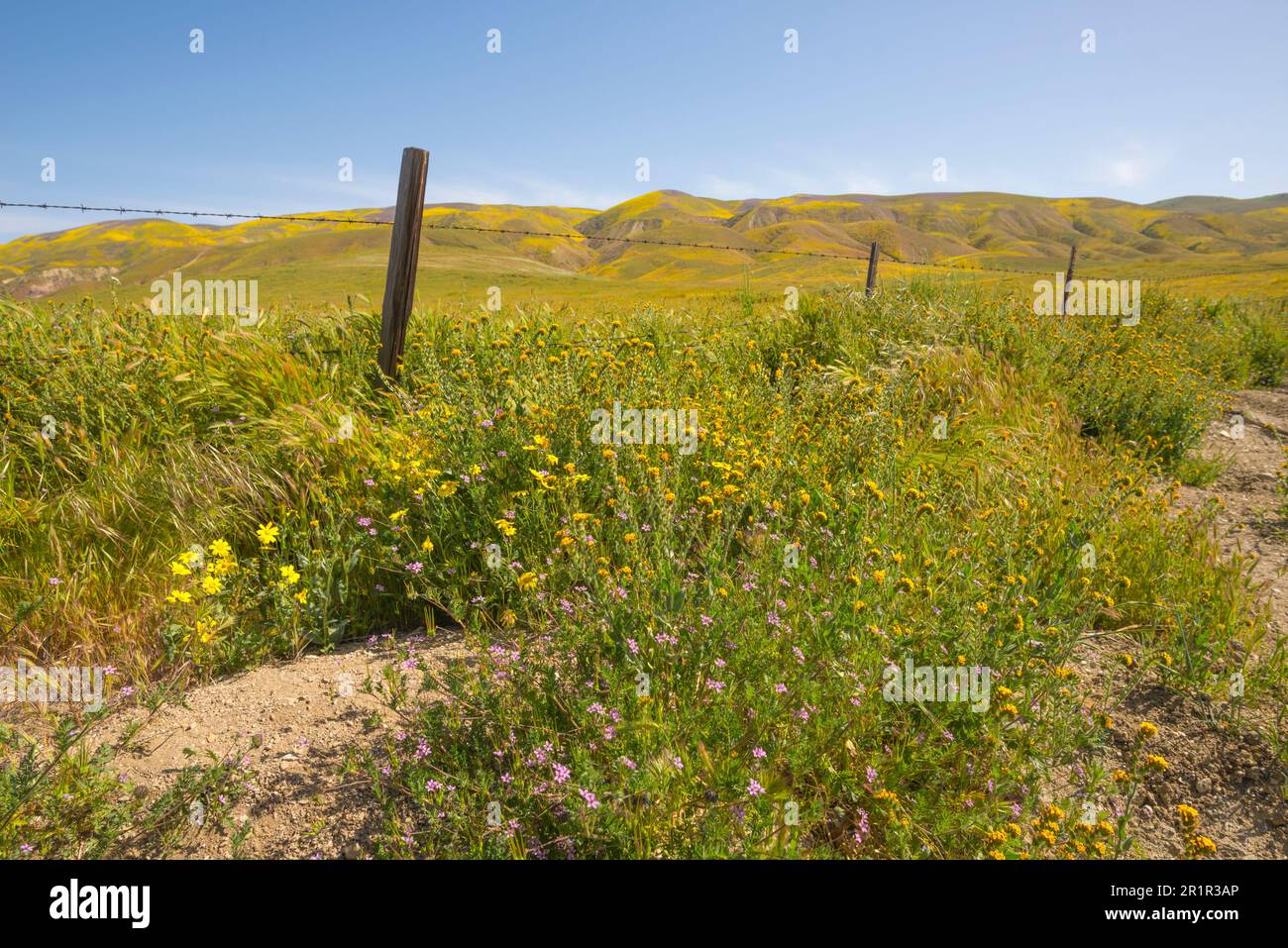 Views of the Temblor Range part of the California Coast Ranges in San ...