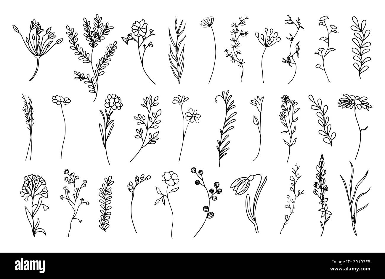 Set of tiny wild flowers and plant line art vector Stock Vector Image ...