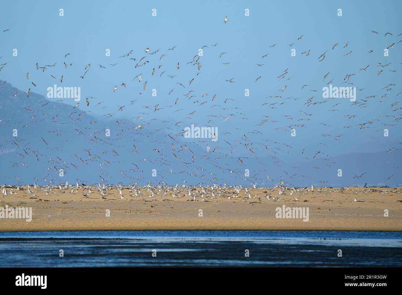 Bot river estuary hi-res stock photography and images - Alamy