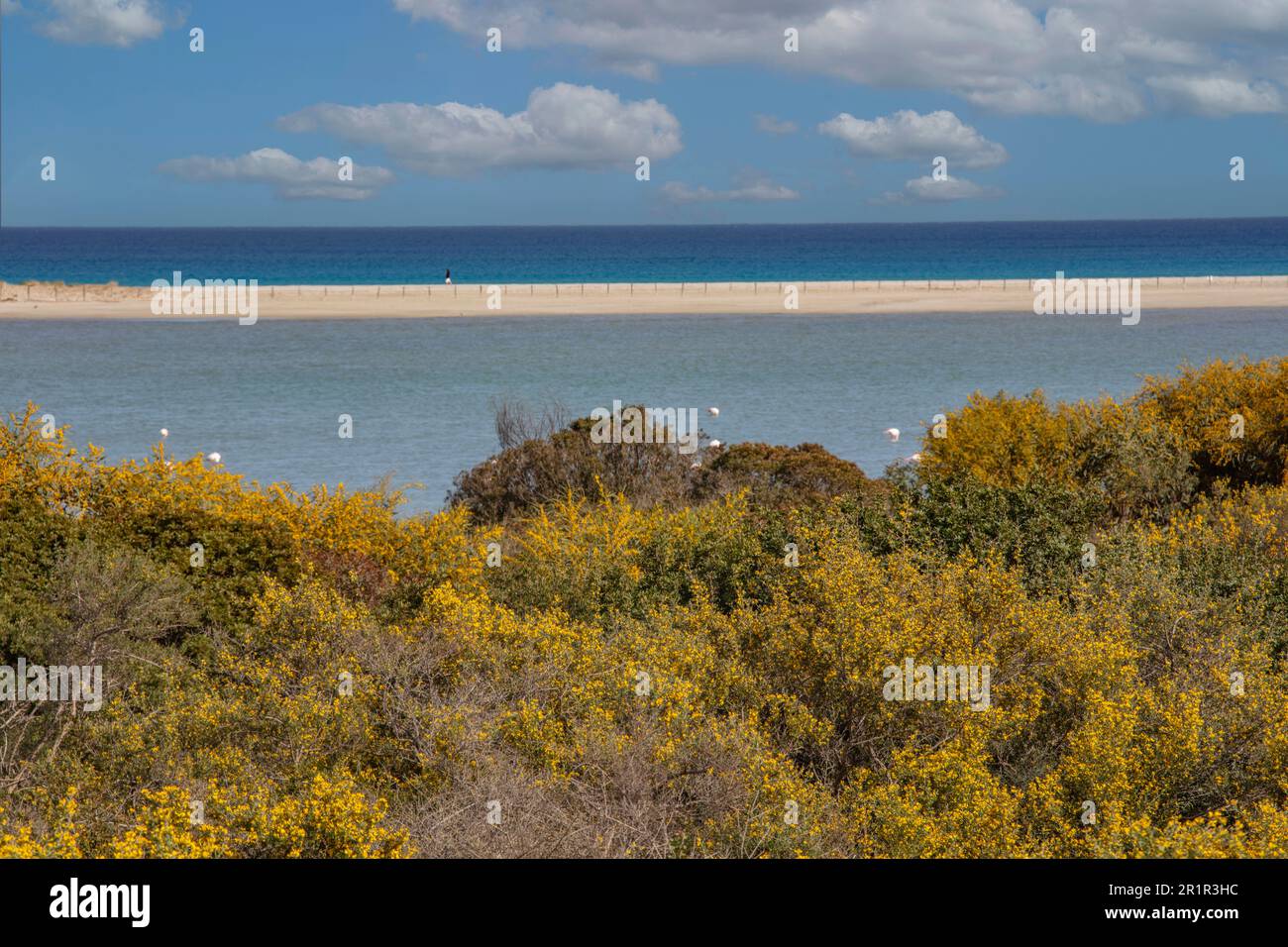 Italy, Sardinia, beach, sea, lake, land strip Stock Photo - Alamy