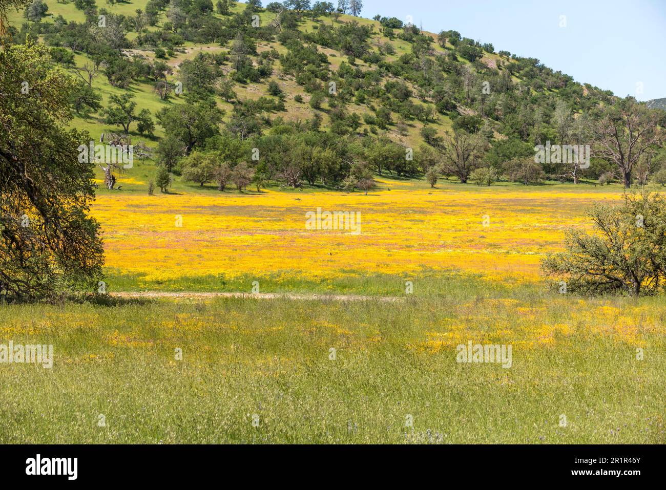Santa margarita hi-res stock photography and images - Alamy