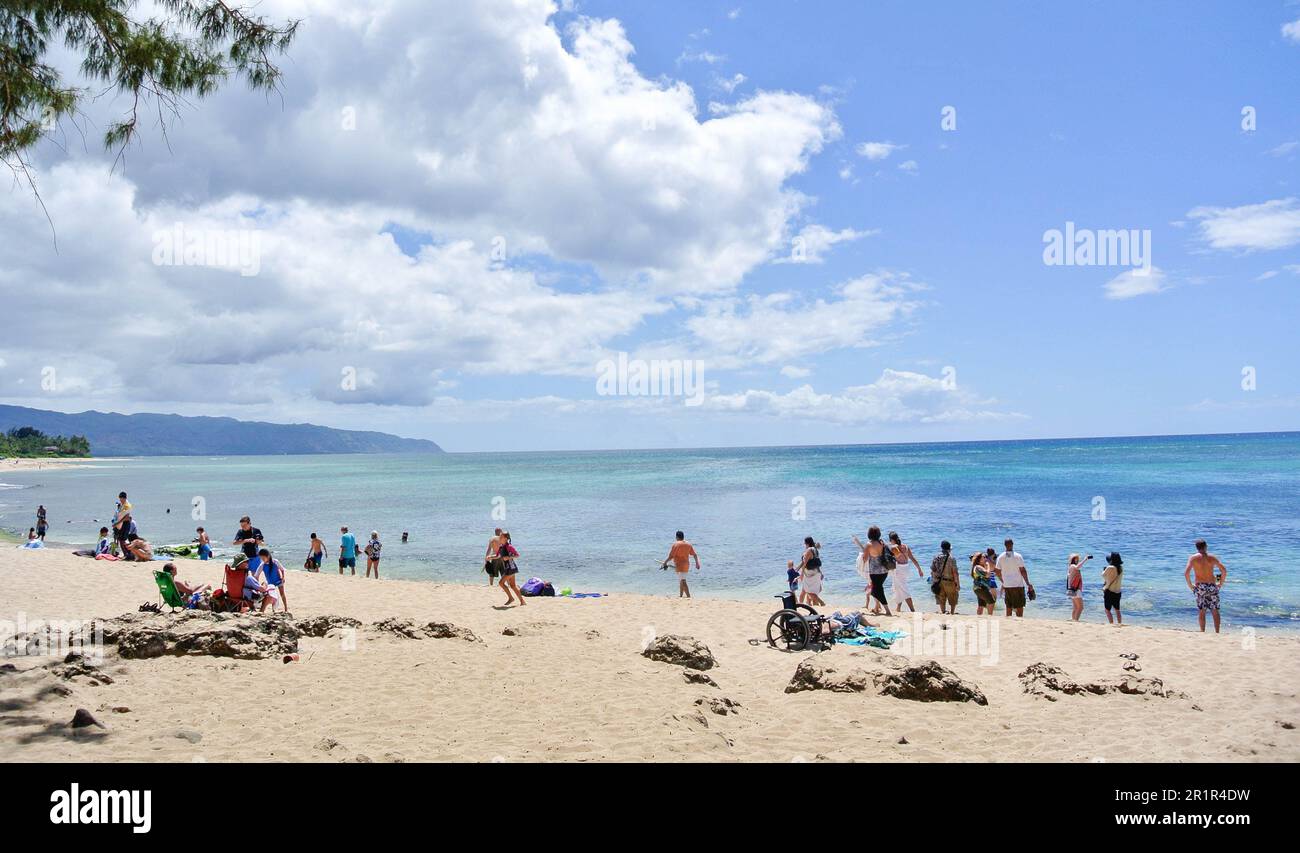 Sunbathing waikiki beach honolulu oahu hi-res stock photography and ...