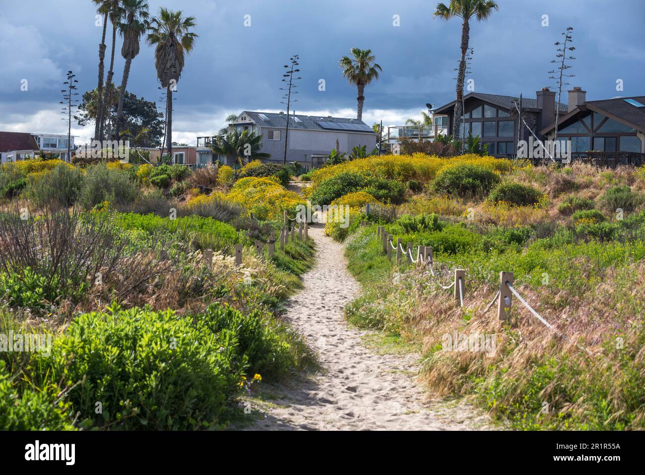 Trail off of the San Diego River path in the Ocean Beach community of ...