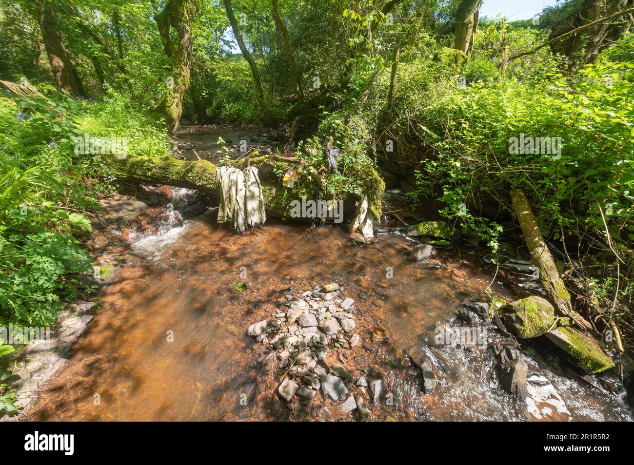 Agricultural waste washed down stream and trapped on large woody debris ...