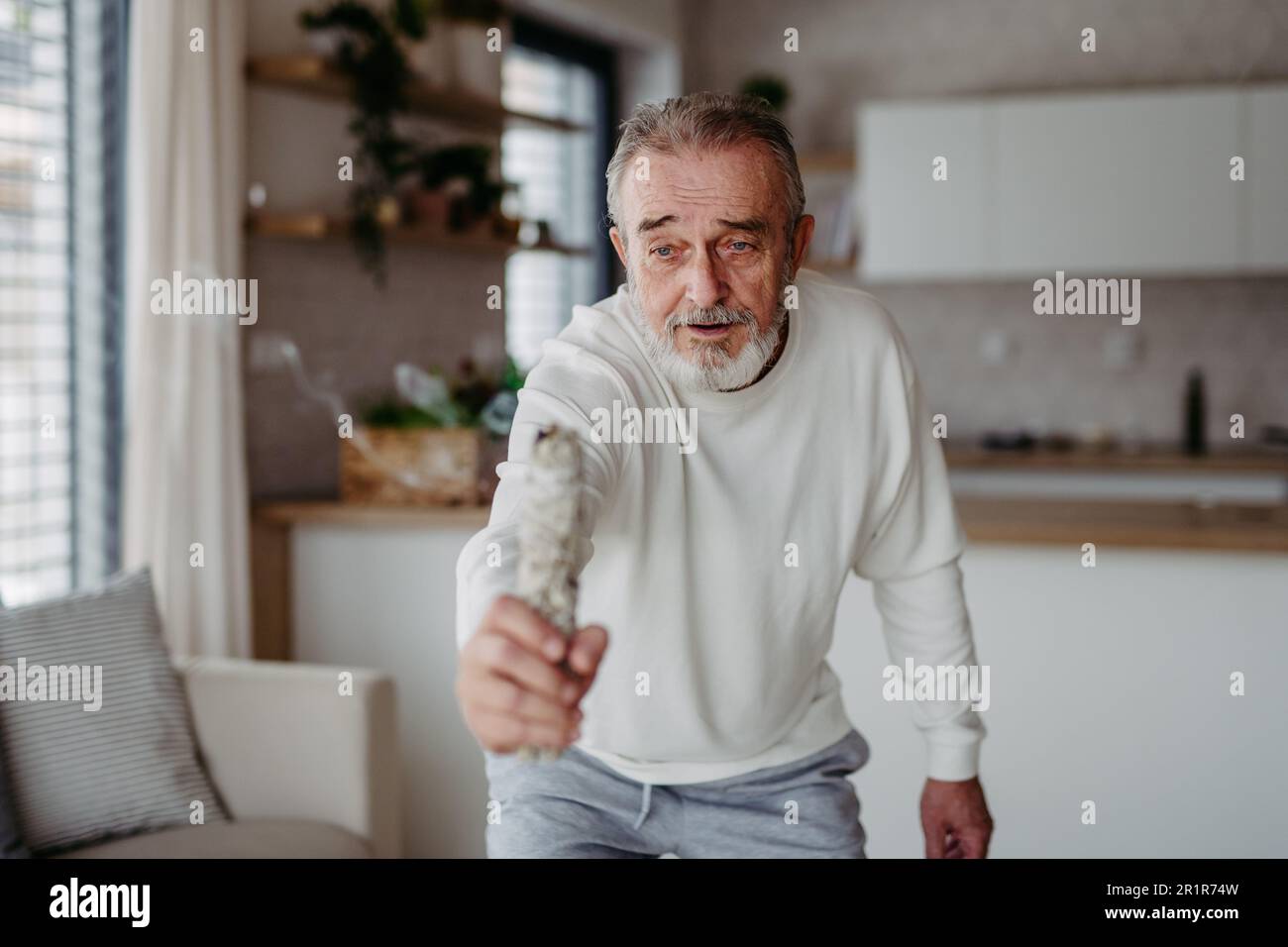 Sage old man hi-res stock photography and images - Alamy
